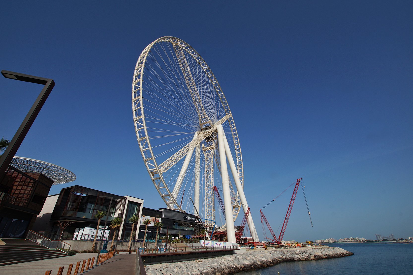 Ain Dubai Observation Wheel - Propsearch.ae