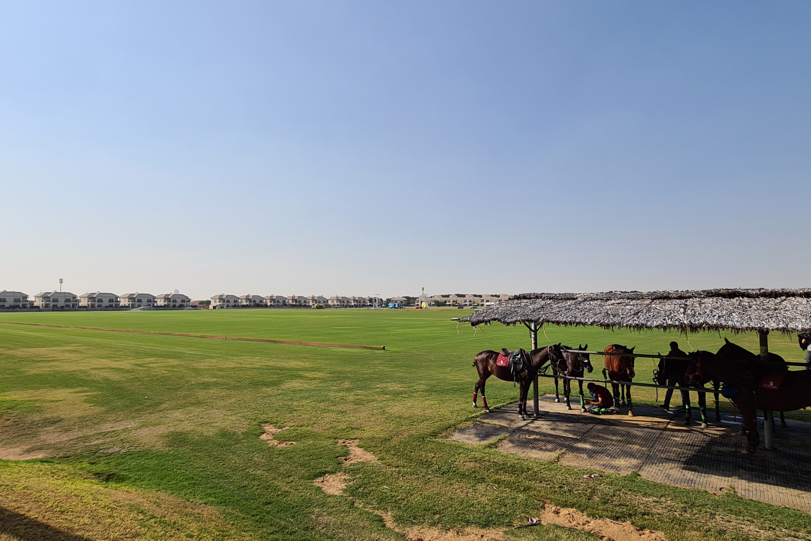 Al Habtoor Polo Resort & Club - Propsearch.ae