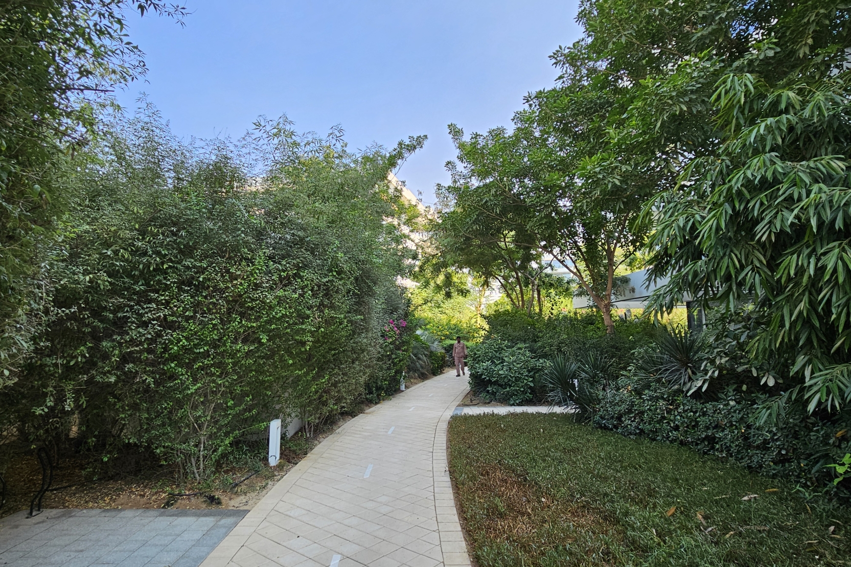 Ashjar - Propsearch.ae