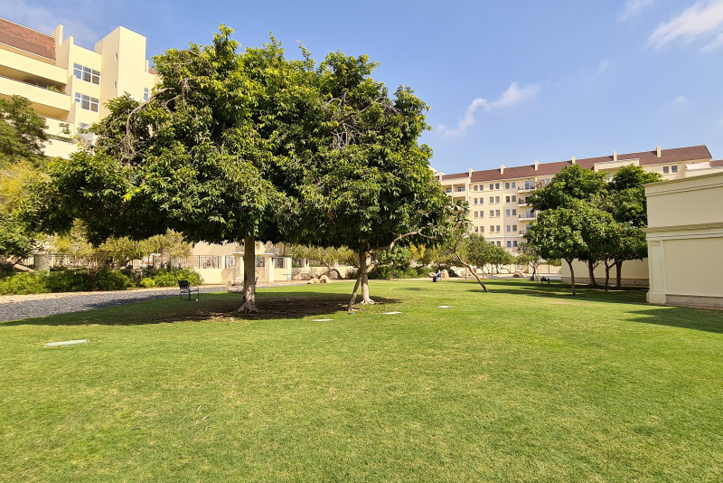 Things to do in Studio City - Propsearch.ae