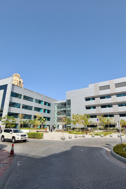 DMC Building 5 Guide | Propsearch.ae