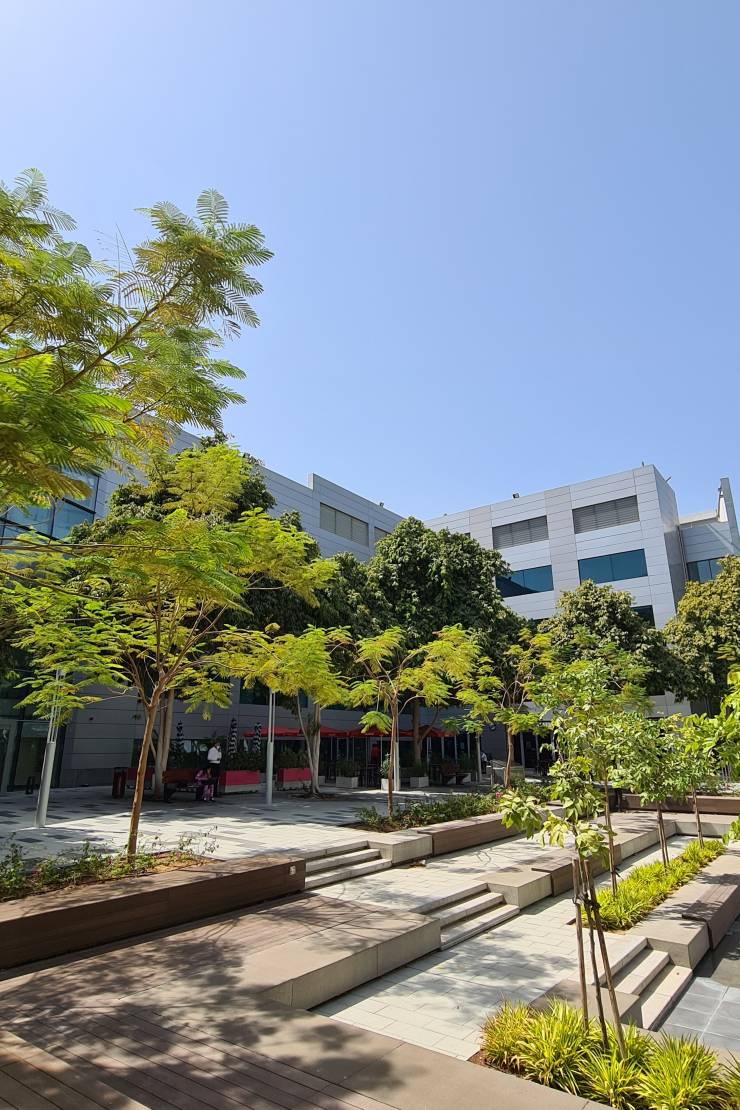 DMC Building 7 - Propsearch.ae