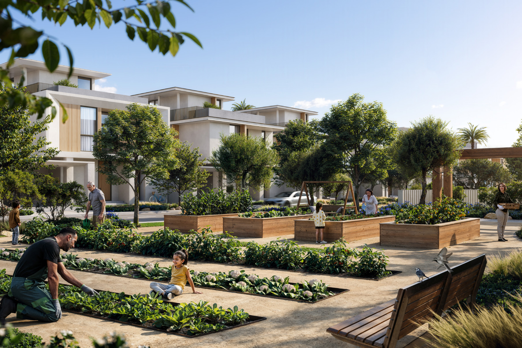 Farm Grove - Propsearch.ae