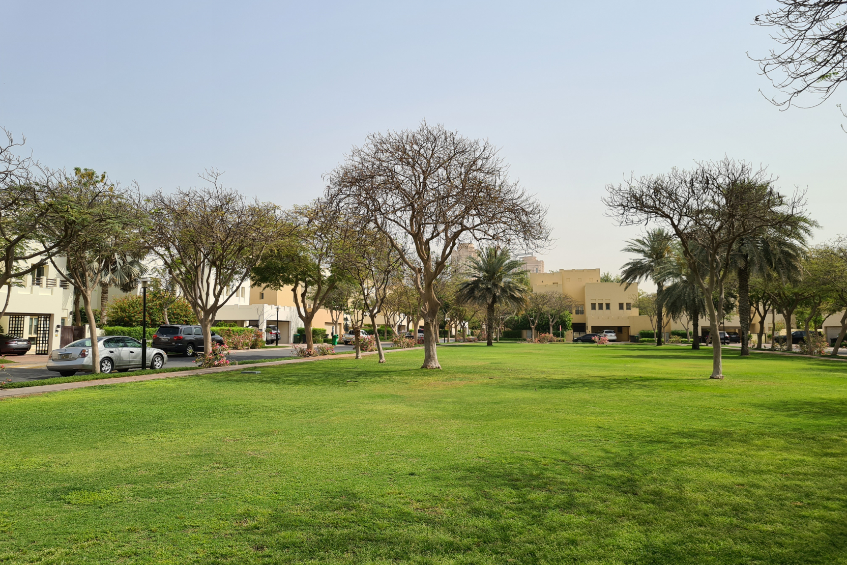 Hattan 2 - Propsearch.ae