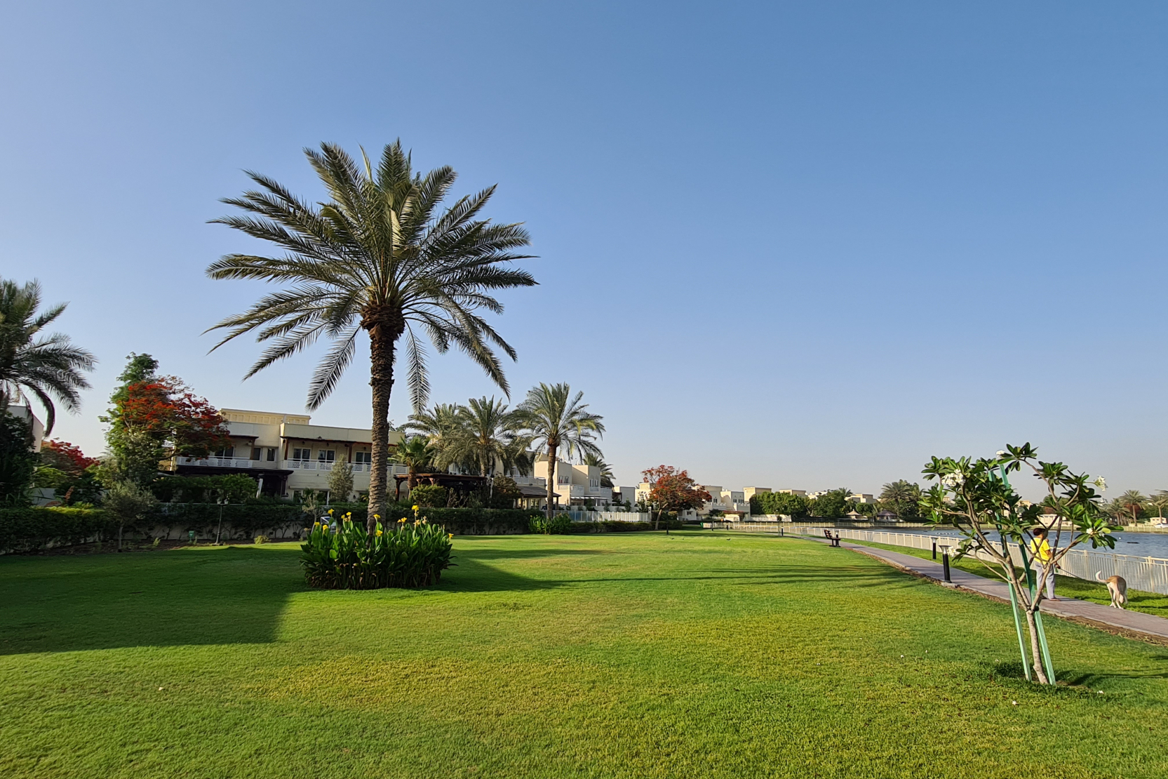 Meadows 1 - Propsearch.ae