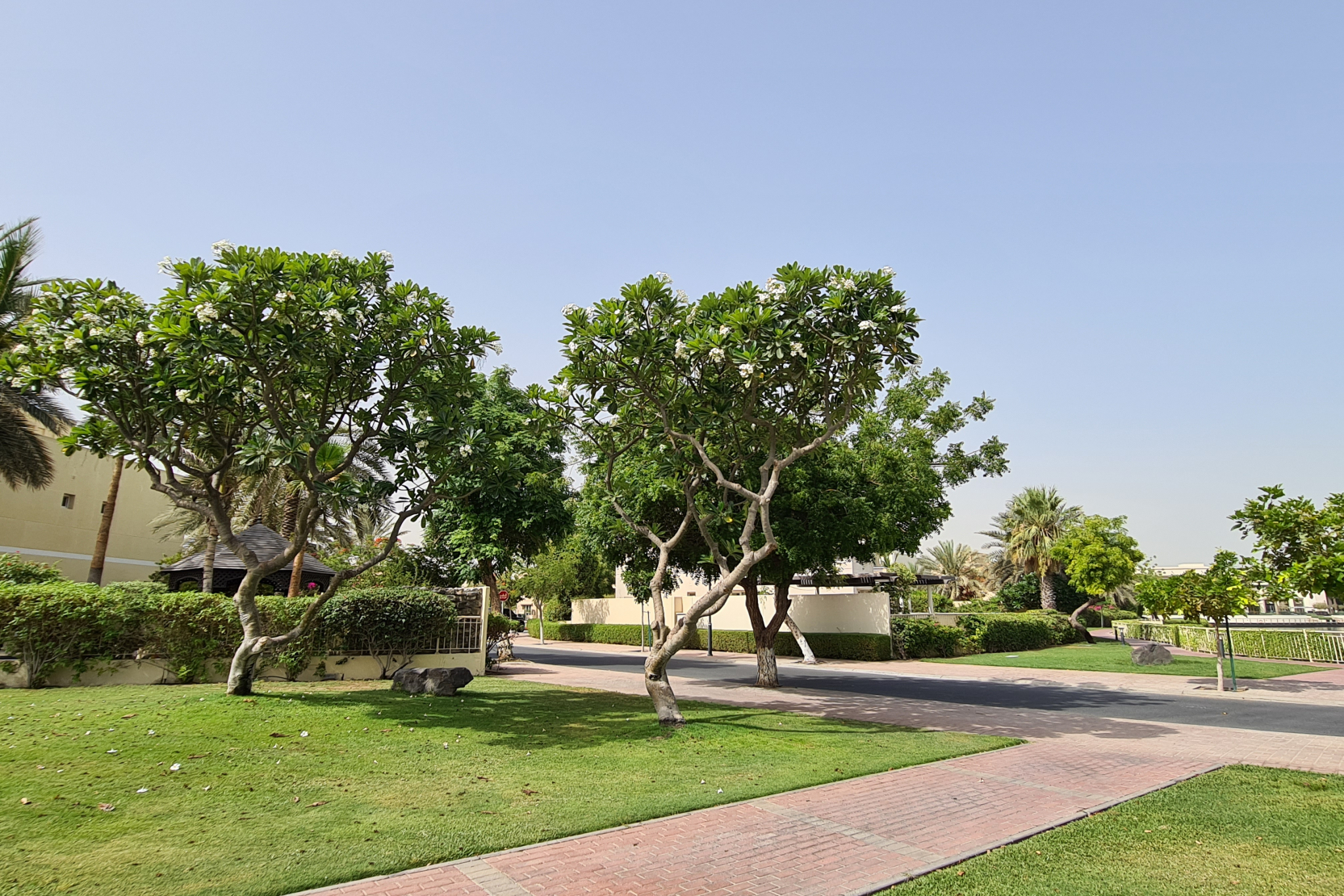 Meadows 5 - Propsearch.ae