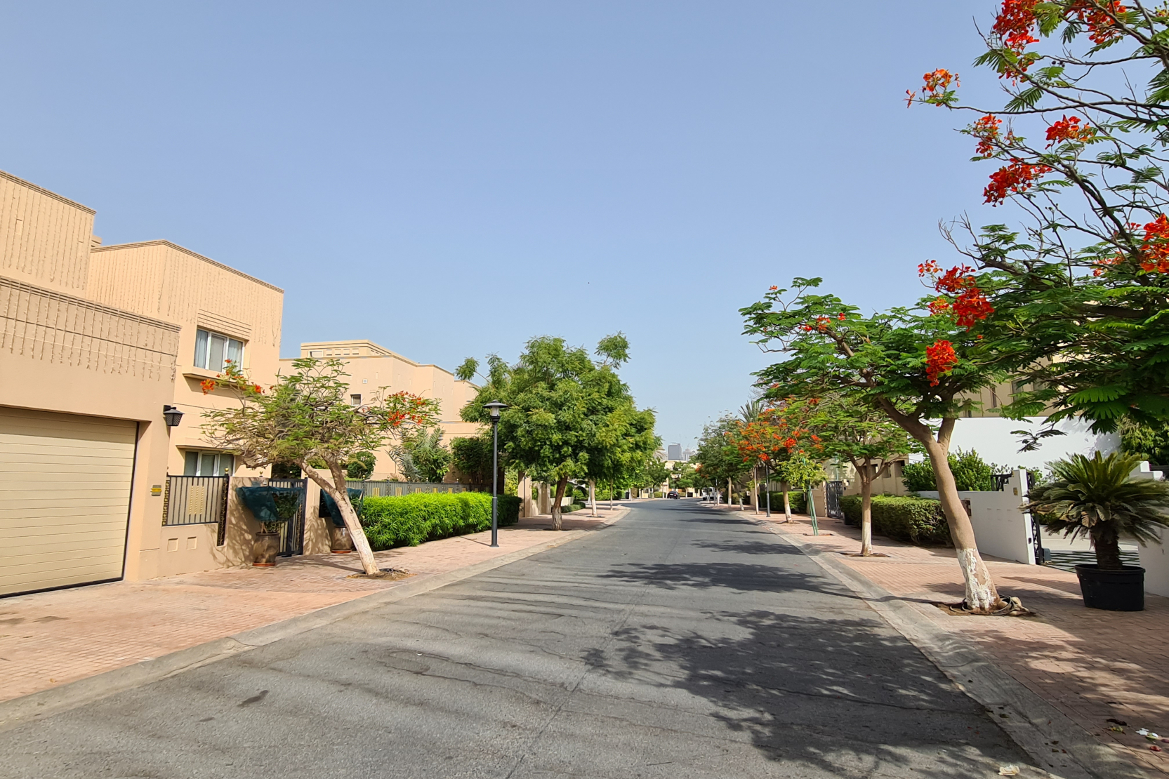 Meadows 5 - Propsearch.ae