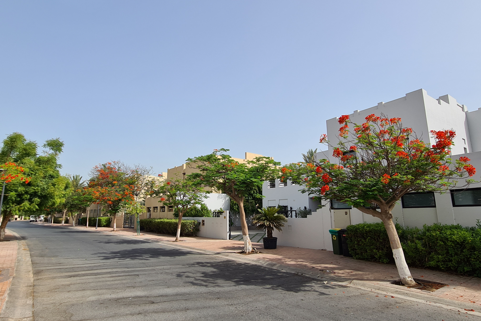 Meadows 5 - Propsearch.ae