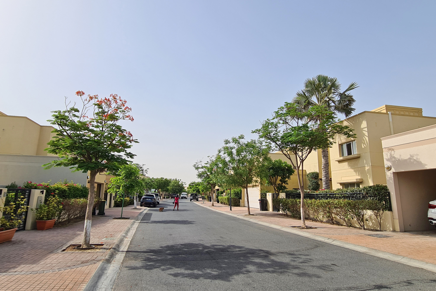 Meadows 5 - Propsearch.ae