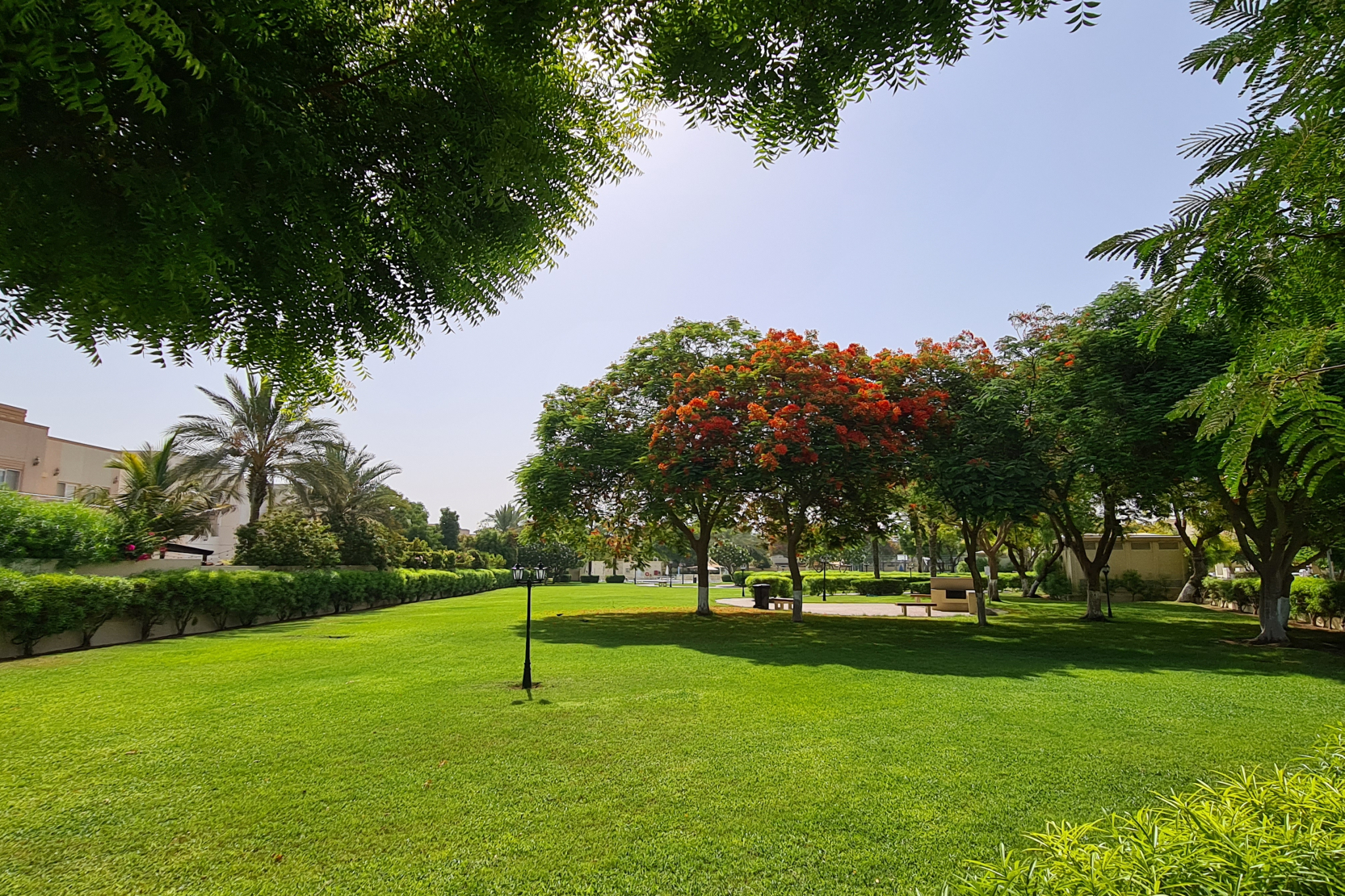 Meadows 6 - Propsearch.ae