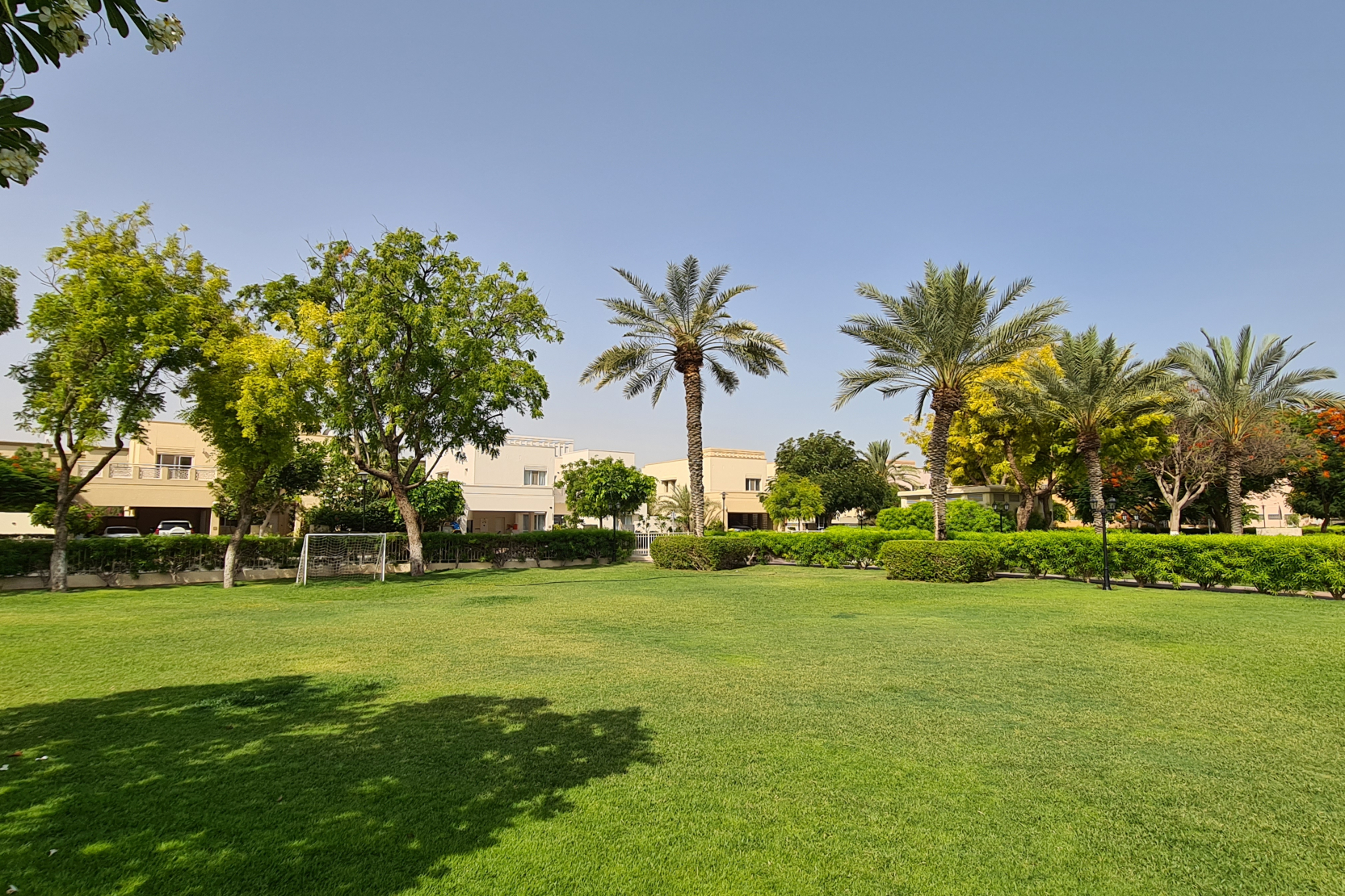 Meadows 6 - Propsearch.ae