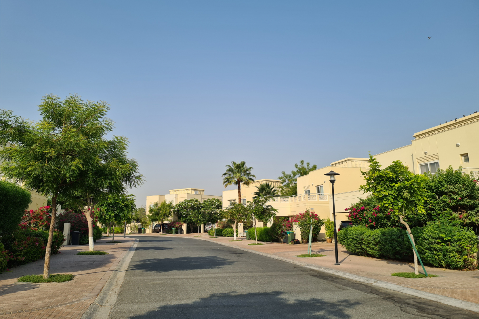 Meadows 9 - Propsearch.ae