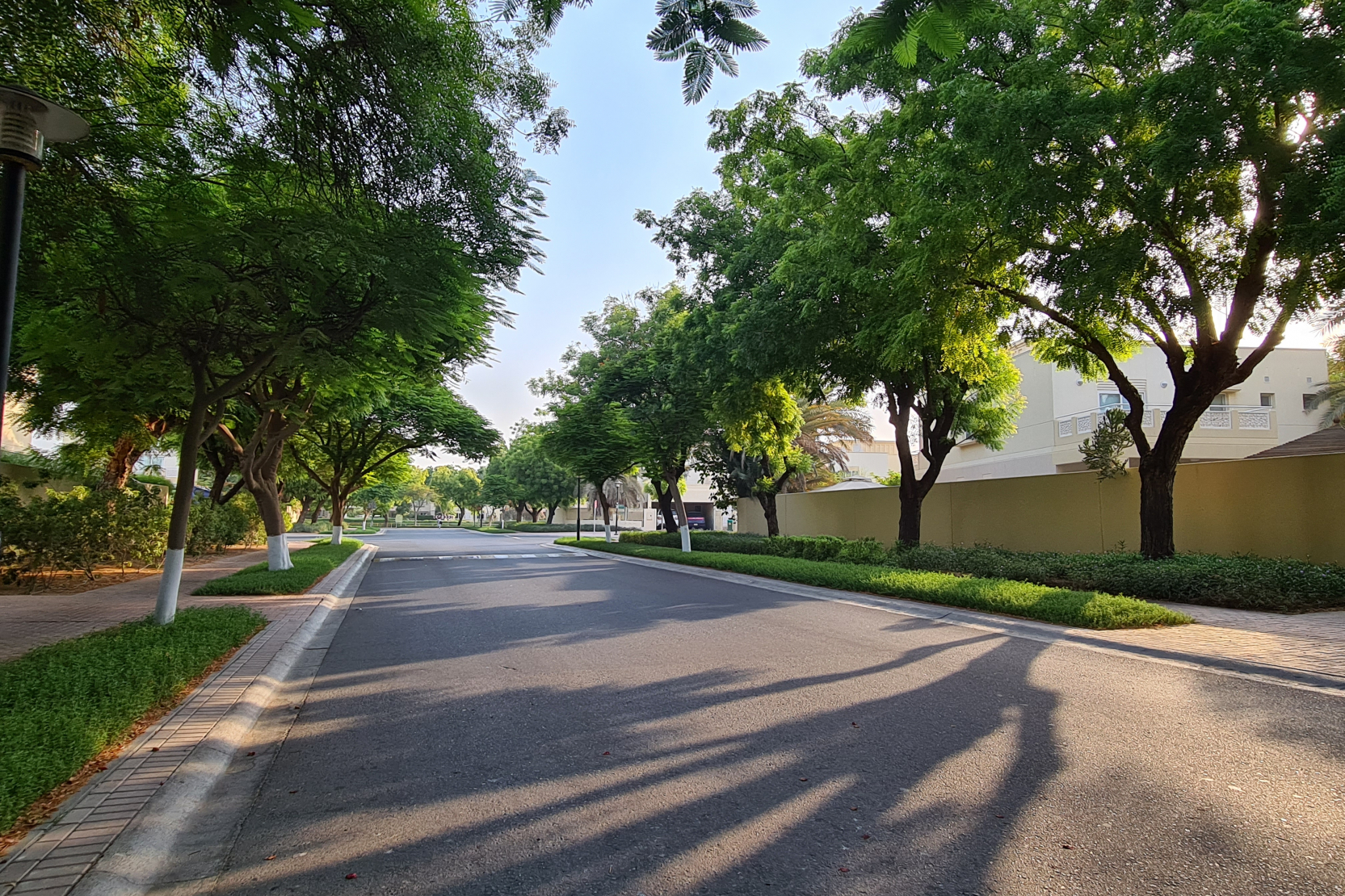 Meadows 9 - Propsearch.ae