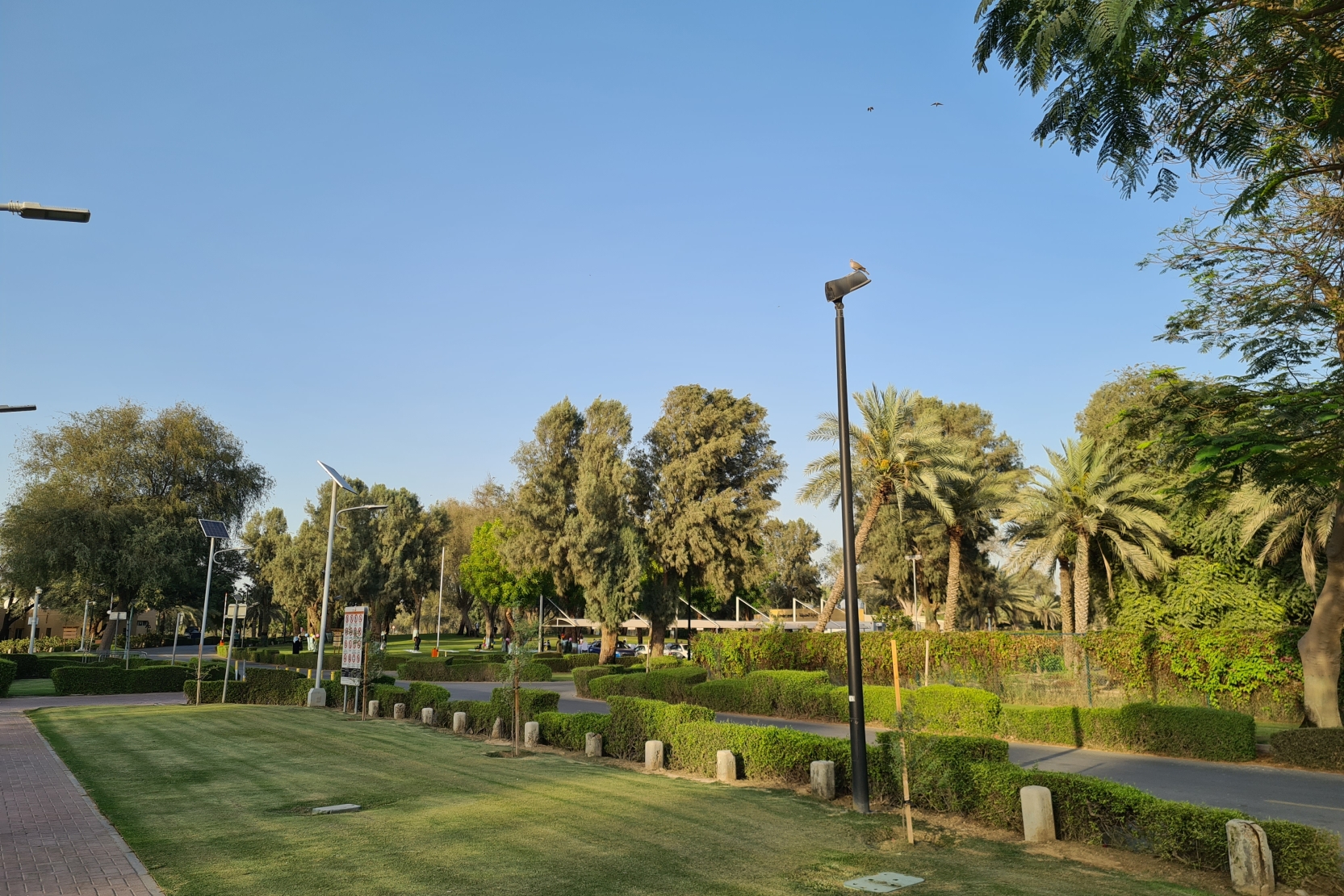Mushrif Park - Propsearch.ae