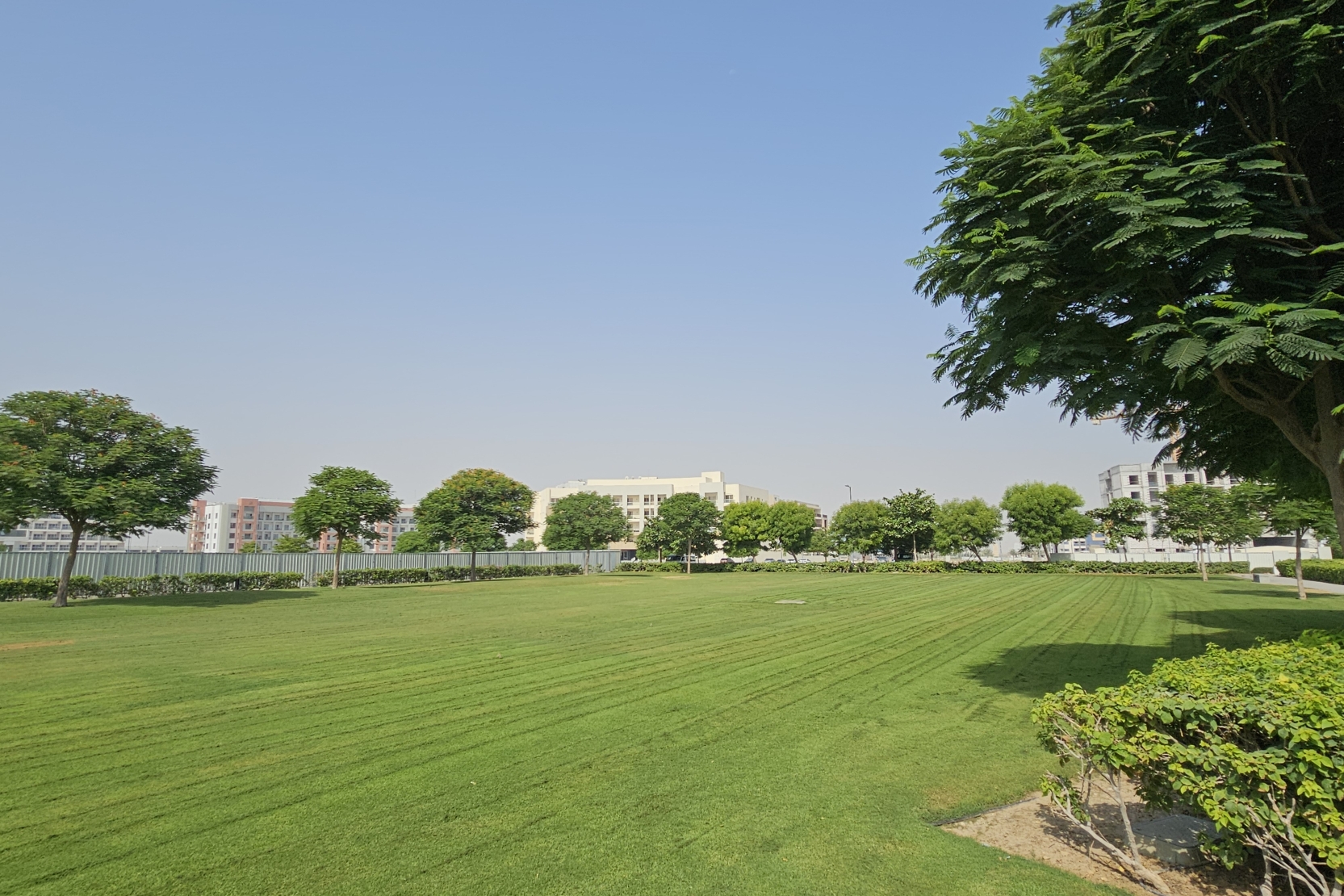 Pulse Community Park 2 - Propsearch.ae