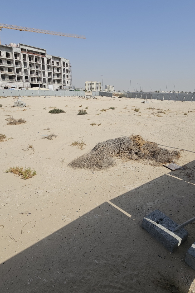 Regal Crest - Propsearch.ae