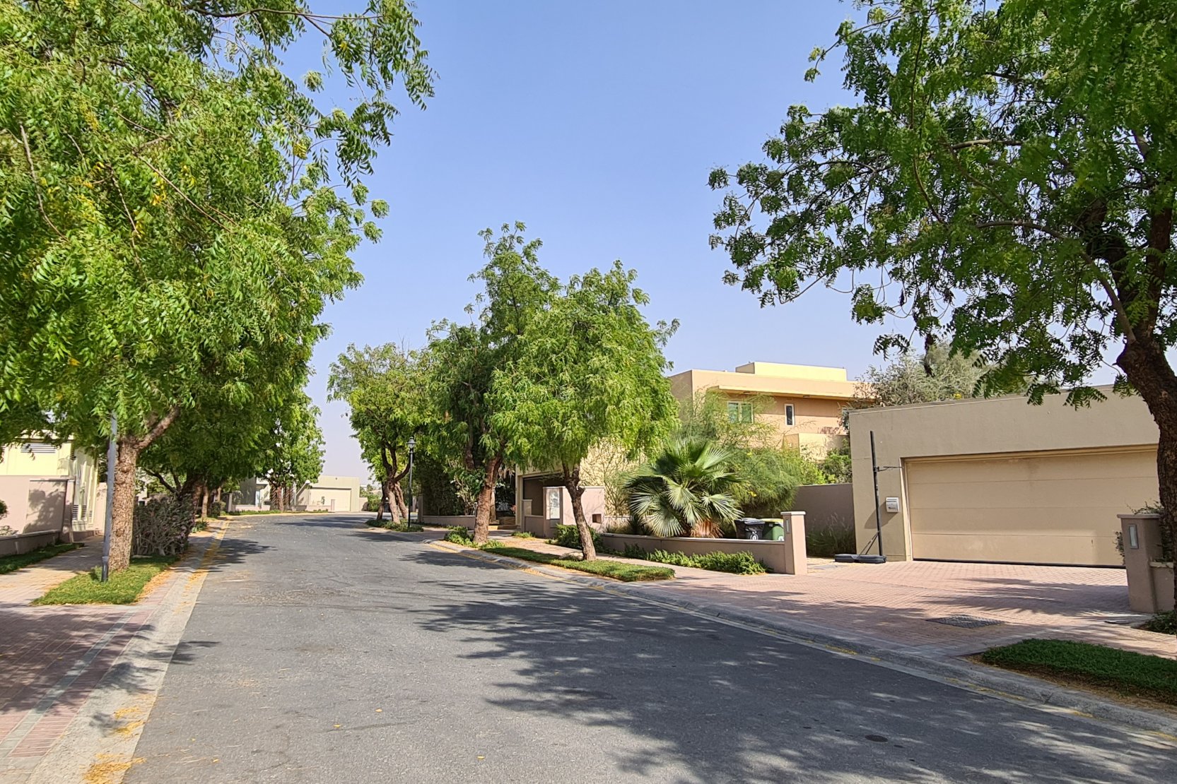 Savannah - Propsearch.ae