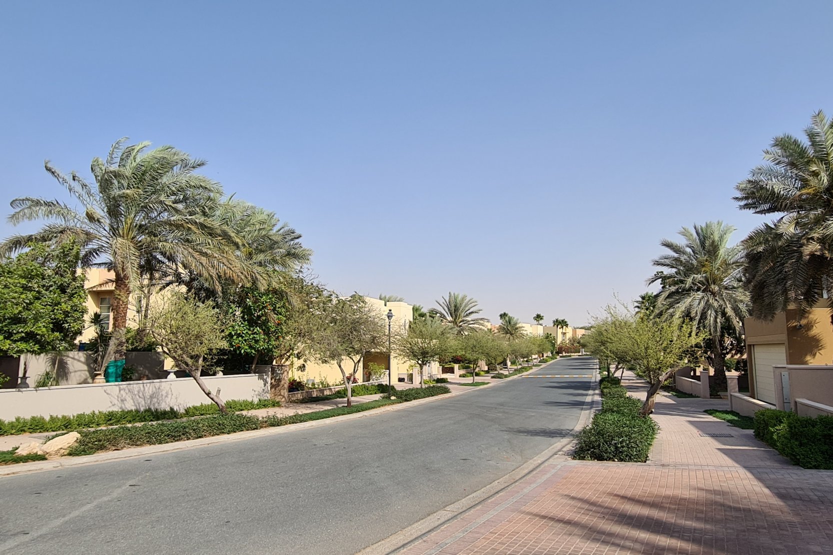 Savannah - Propsearch.ae