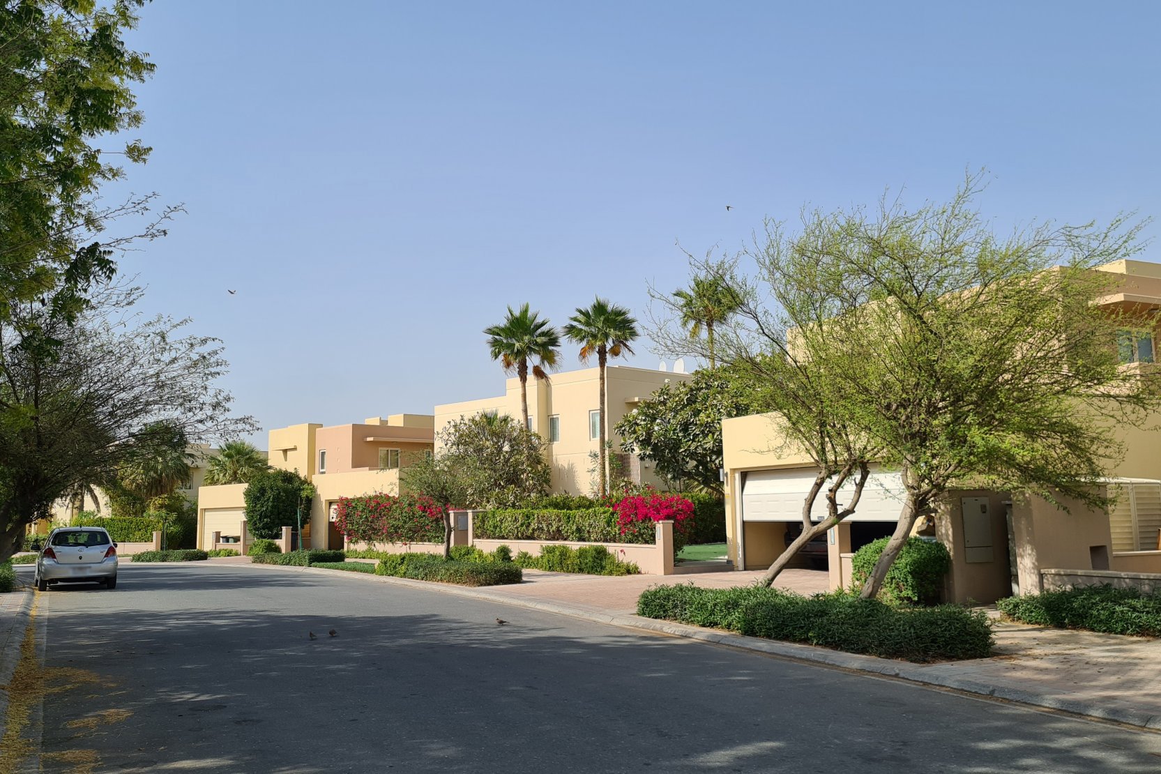 Savannah - Propsearch.ae