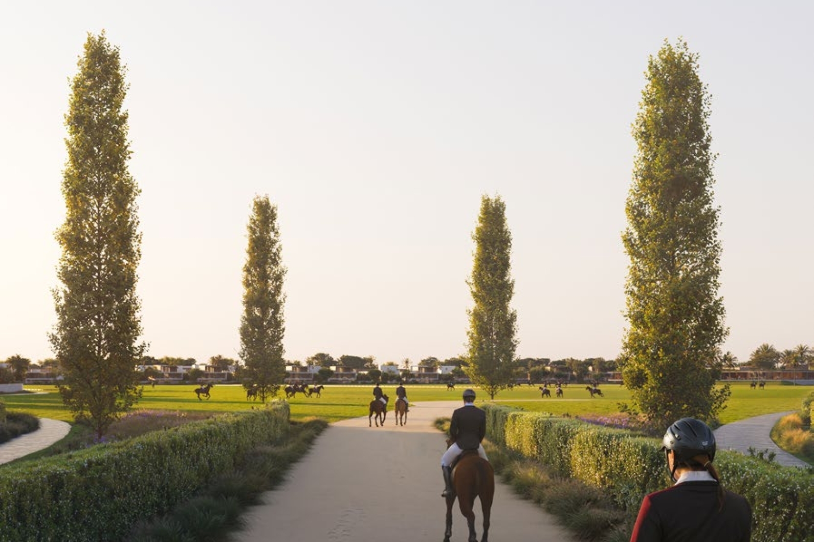 Selvara - Propsearch.ae