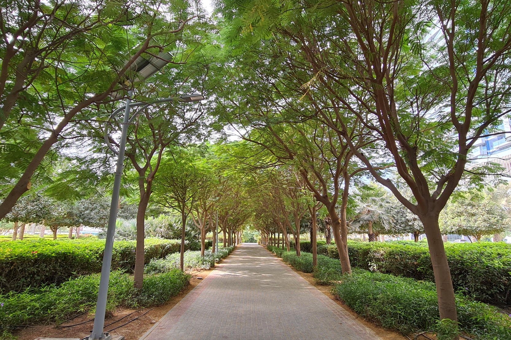 Sider Park - Propsearch.ae