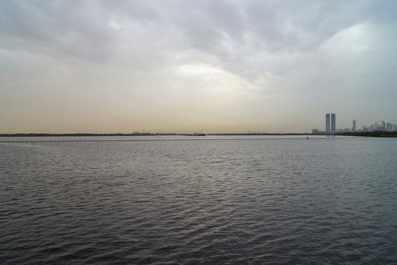 Ras Al Khor Wildlife Sanctuary Guide | Propsearch.ae