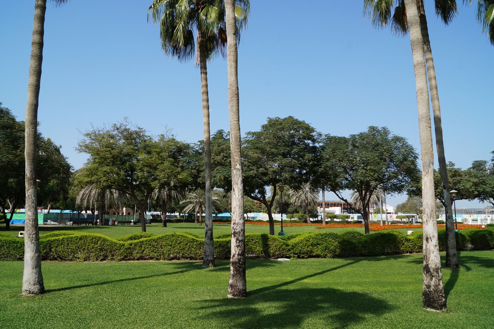 Safa Park - Propsearch.ae