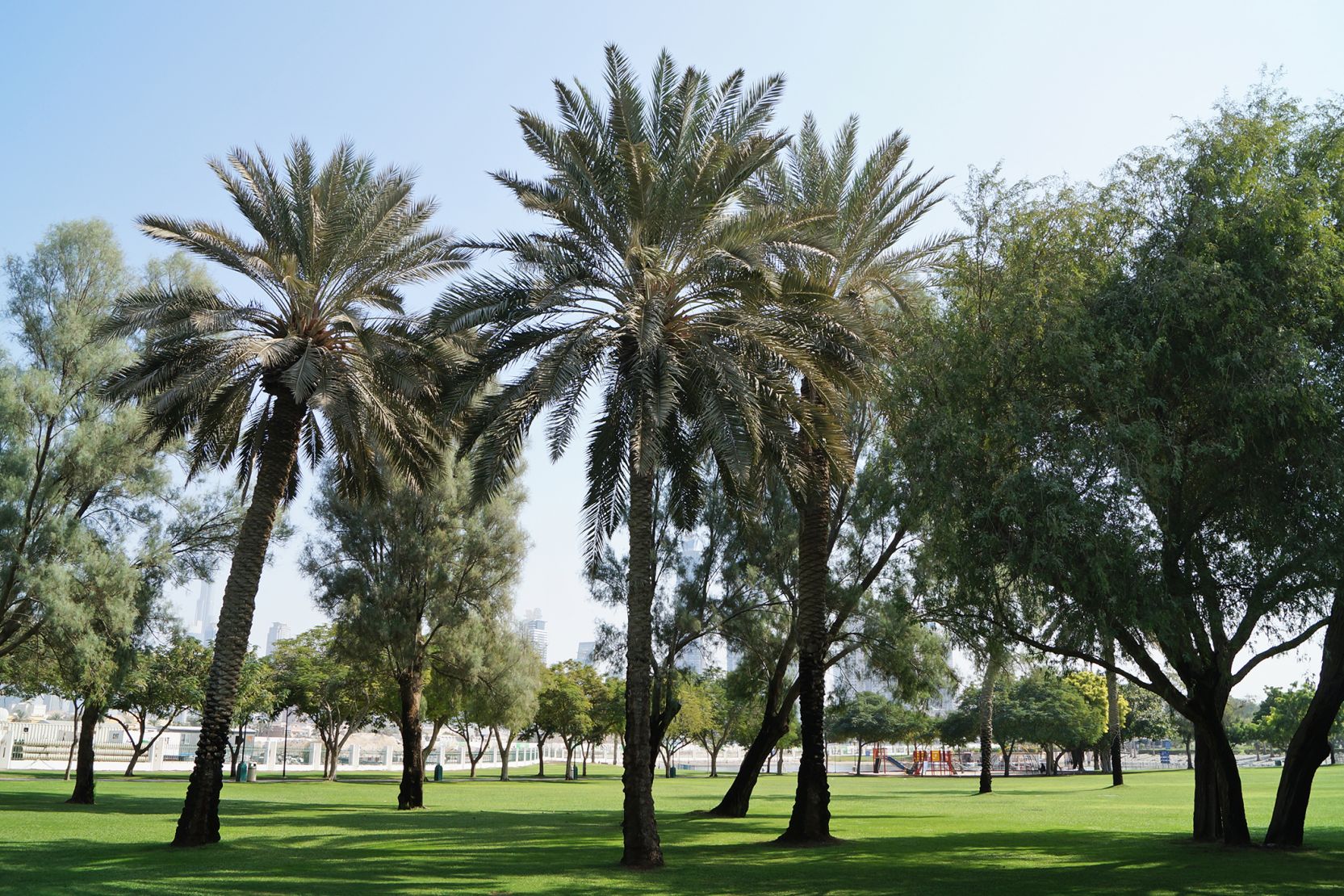 Safa Park - Propsearch.ae
